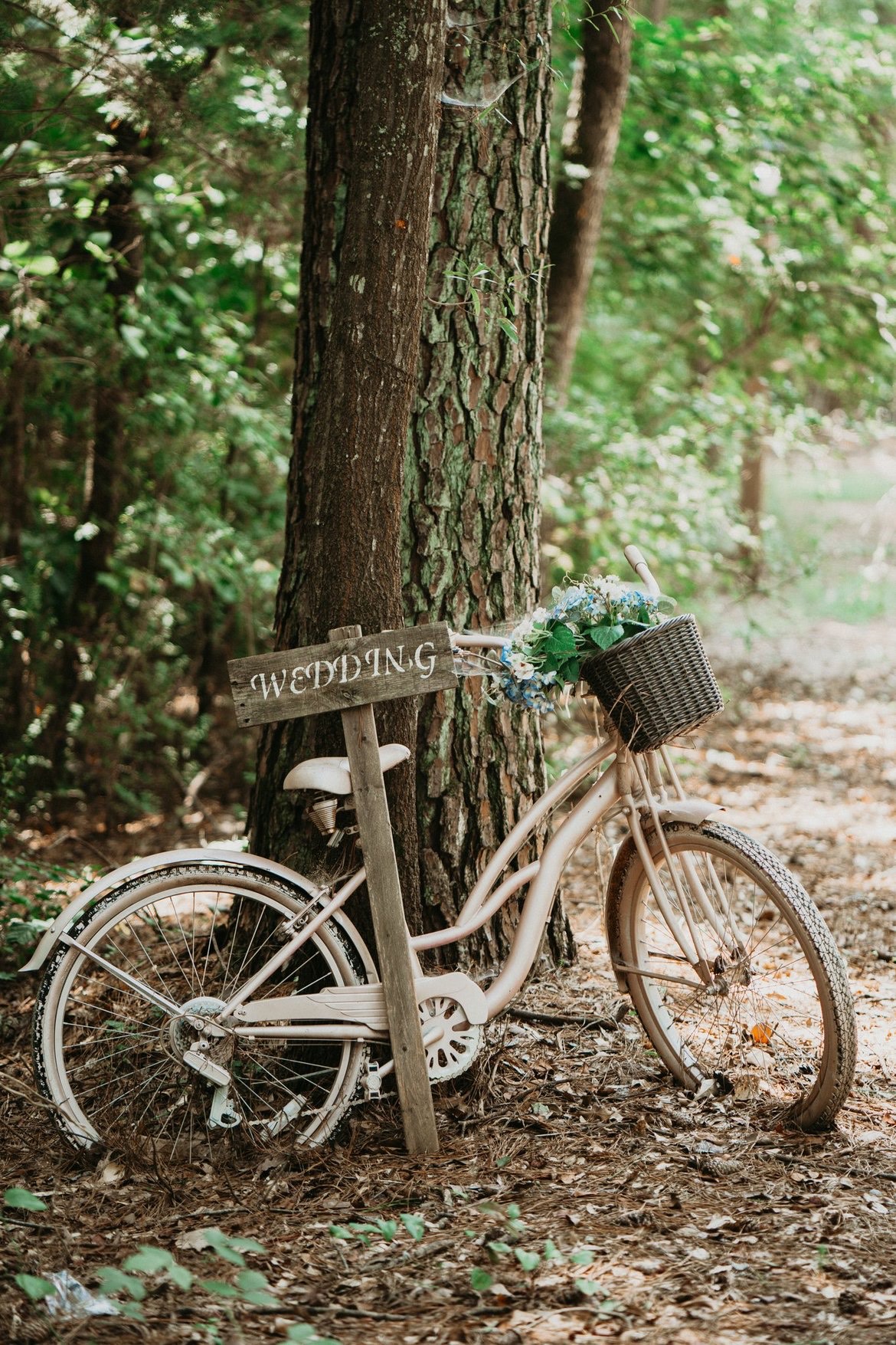 Saturday Wedding Package – White Fox Cottage